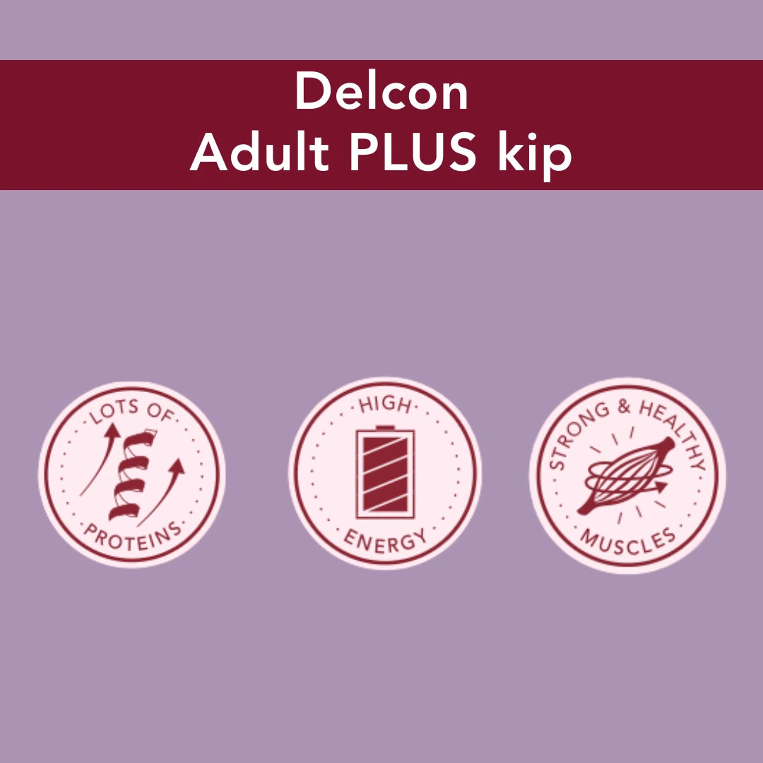 Trial Pack Dog - Delcon Regular Plus Rich in Chicken – Delcon Petfood Shop